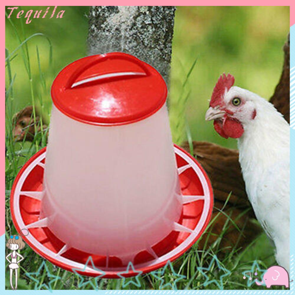 TEQUILA Portable Drink Water Plastic Bird Quail Chicken Poultry Feeder ...
